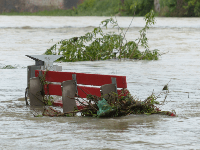 Request Letter to District Collector: Attention to Flood-Affected area