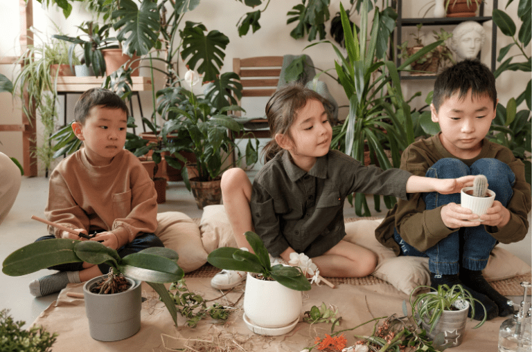 Report Writing: World Environment Day Celebration in Your School